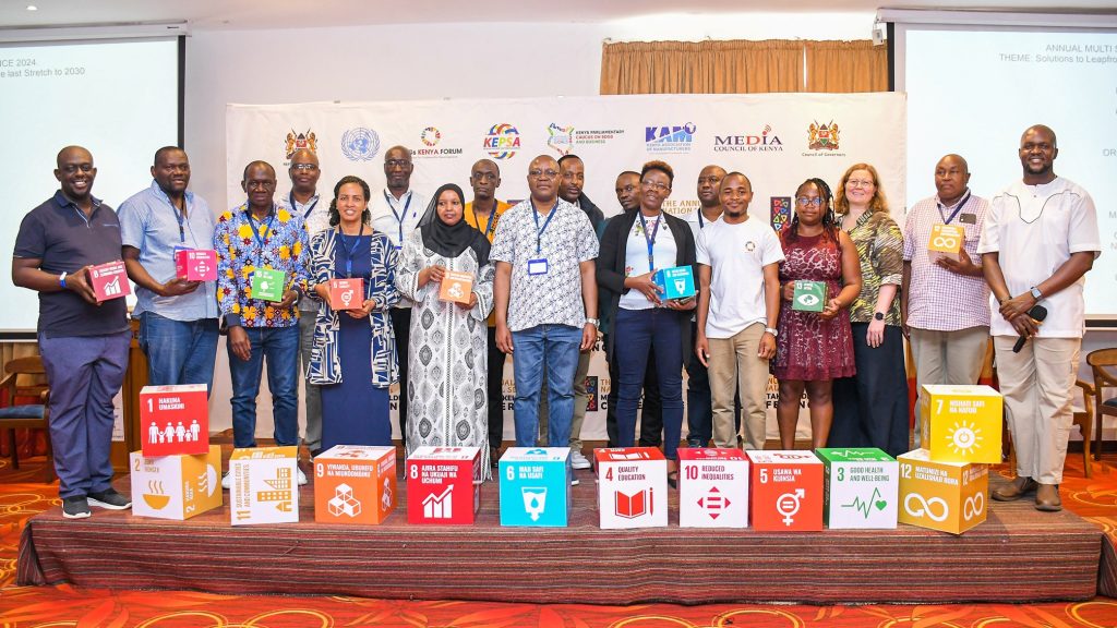 Champions for SDGs Youth - Young People Championing Sustainable Development